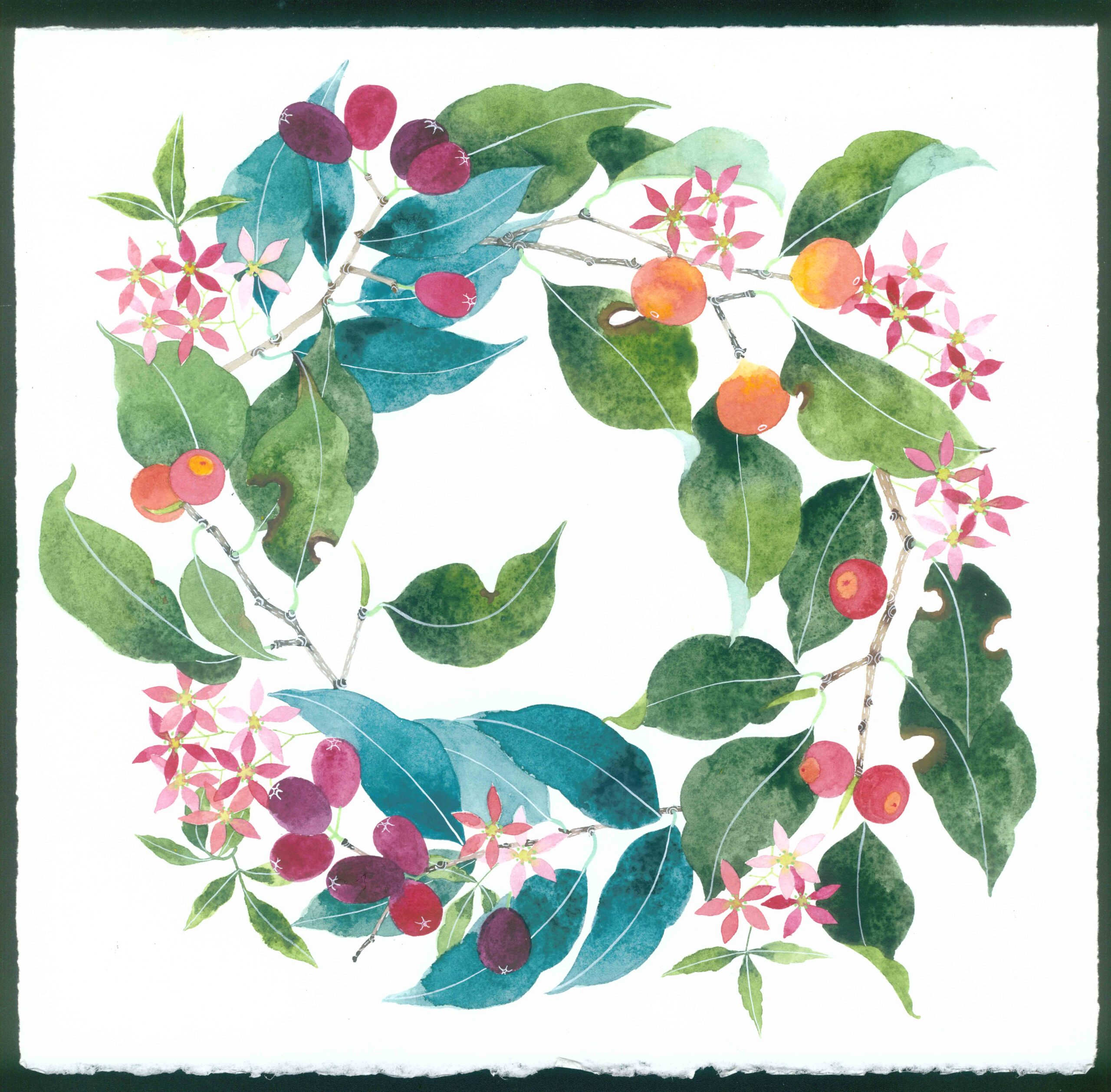 Gabby Malpas original watercolour painting: 'Australiana wreath ...